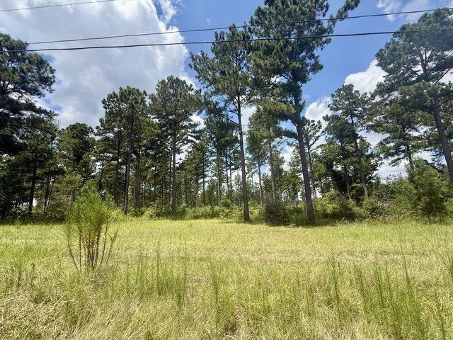 County Road 33, Ashford, AL 36312