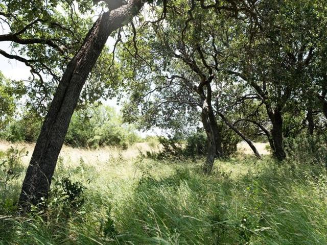 County Road 300, Eldorado, TX 76936