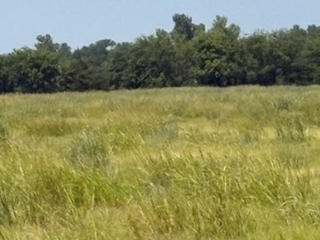 County Road 3020, Bonham, TX 75418