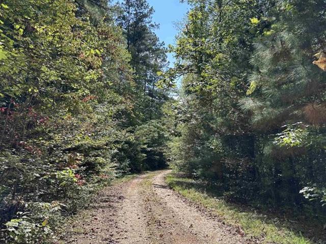 County Road 3034, Double Springs, AL 35553