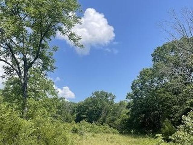County Road 304, Ava, MO 65608