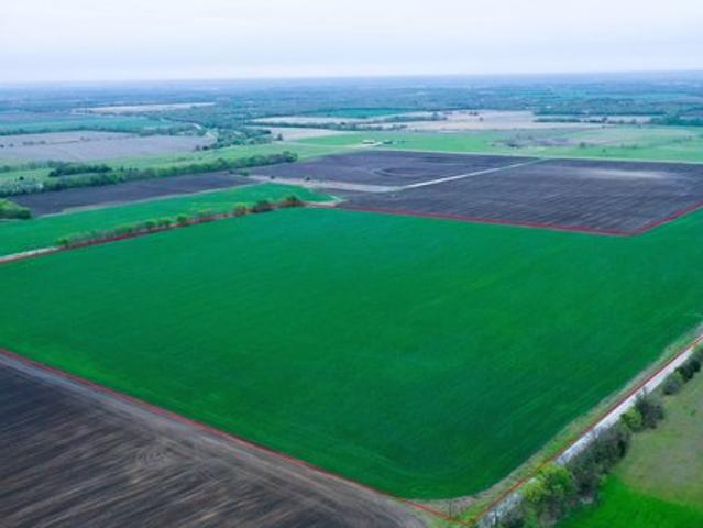 County Road 3060, Bonham, TX 75418
