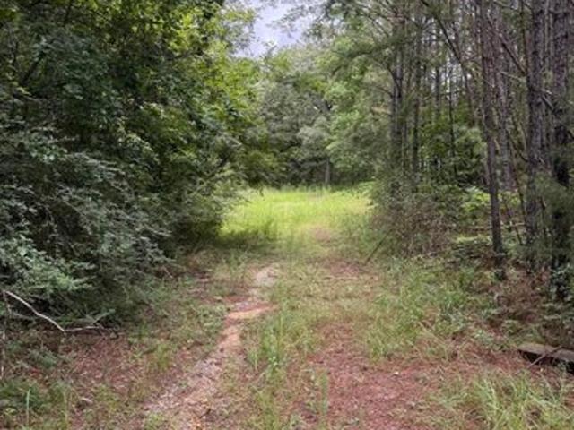 County Road 3063, Double Springs, AL 35553