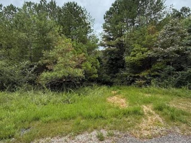 County Road 3063, Double Springs, AL 35553