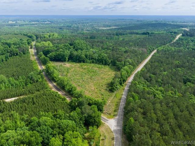 County Road 307, Glenwood, AL 36034