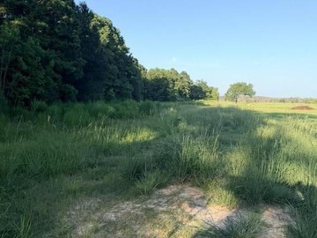 County Road 3114, Buna, TX 77612
