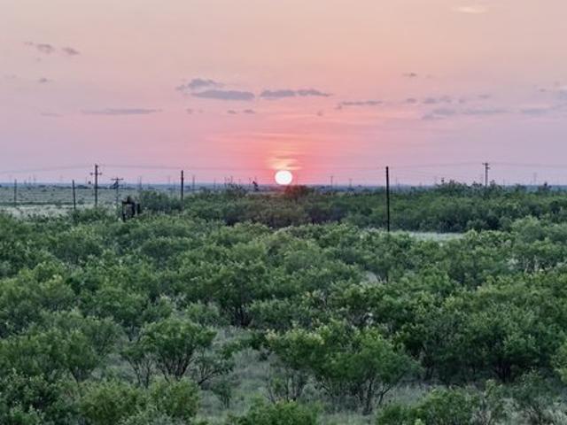 County Road 3115, Snyder, TX 79549