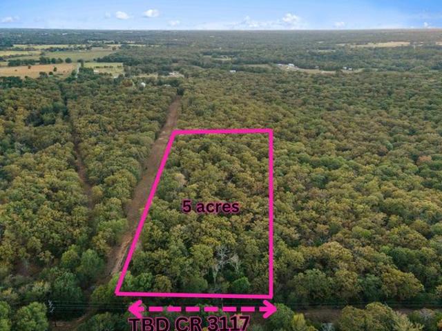 County Road 3117, Edgewood, TX 75117