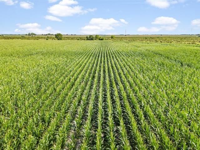 County Road 311, Louise, TX 77455