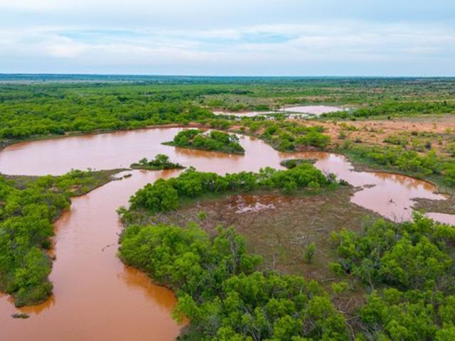 County Road 314, TX 79567