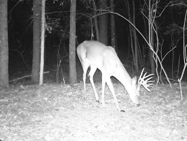 County Road 3216, DeKalb, TX 75559
