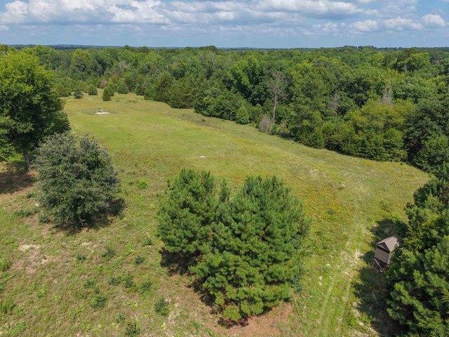 County Road 3217, Atlanta, TX 75551