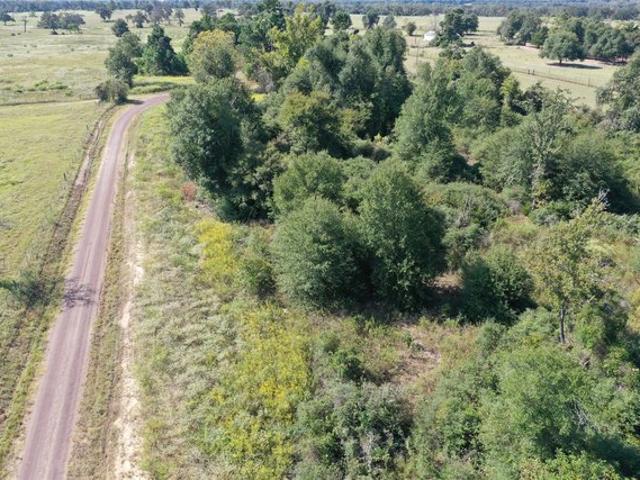 County Road 322, Jewett, TX 75846