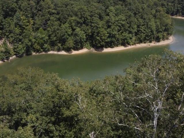 County Road 323, Crane Hill, AL 35053