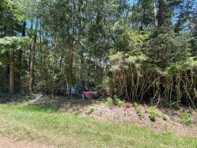 County Road 3252, Cleveland, TX 77327