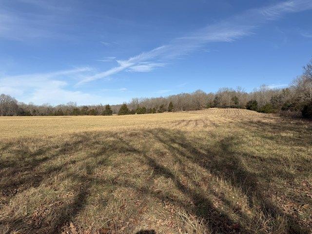 County Road 328, Koshkonong, MO 65692
