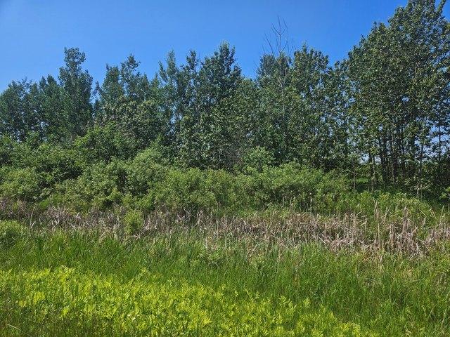 County Road 32, Aitkin, MN 56431