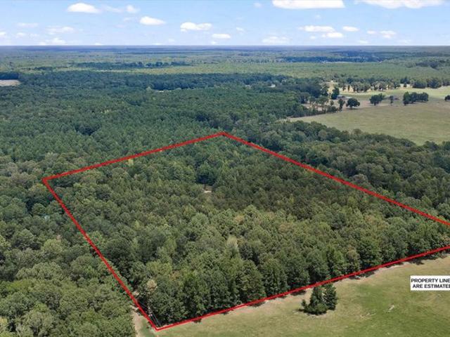 County Road 3311, De Berry, TX 75639