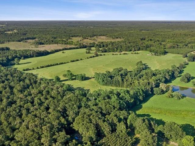 County Road 3336, Atlanta, TX 75551