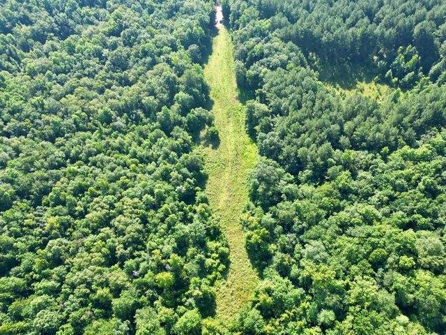 County Road 3338, Brundidge, AL 36010