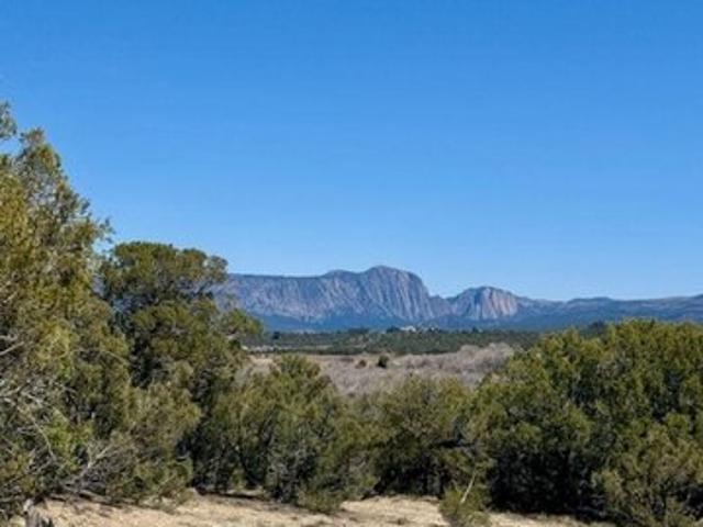 County Road 336, Rutheron, NM 87551