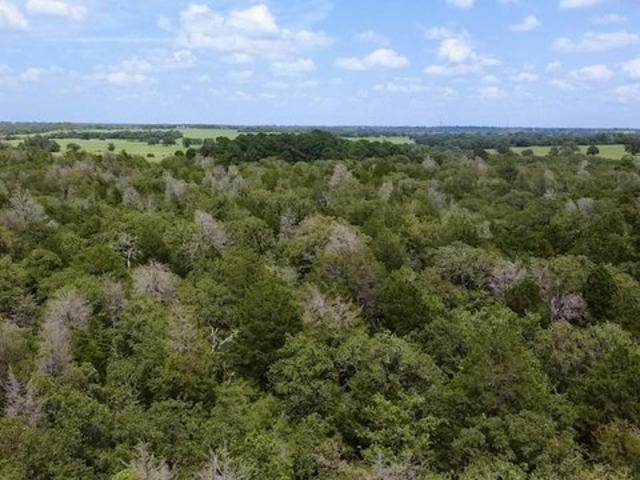 County Road 337, Lexington, TX 78947
