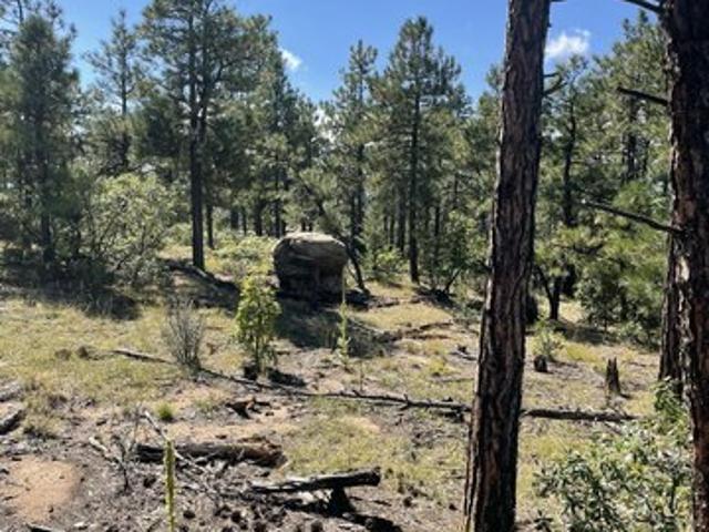 County Road 375, Trinidad, CO 81082