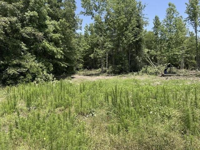 County Road 3417, Jefferson, TX 75657