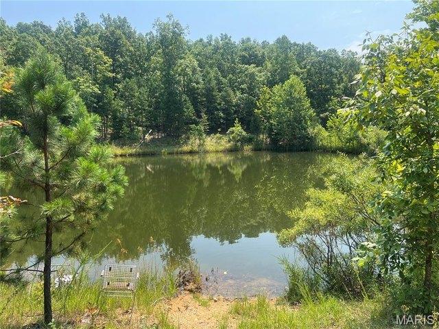 County Road 341, Piedmont, MO 63957