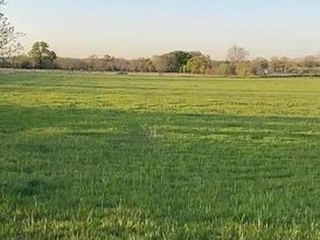County Road 3424 Cor Lot 6, Bridgeport, TX 76426