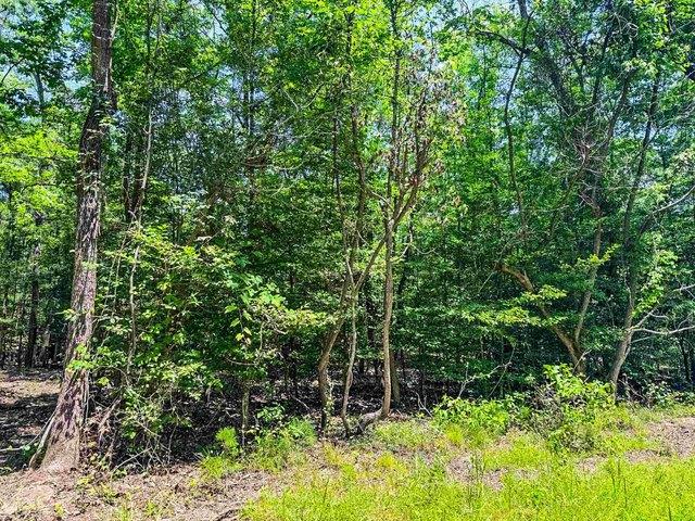 County Road 3420, Jefferson, TX 75657