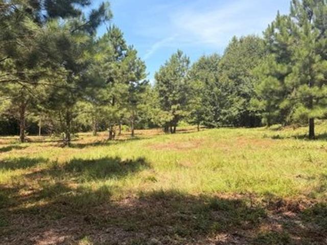 County Road 3449, Atlanta, TX 75551