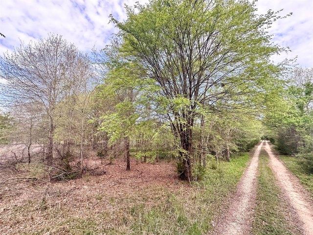 County Road 3508, Murchison, TX 75756