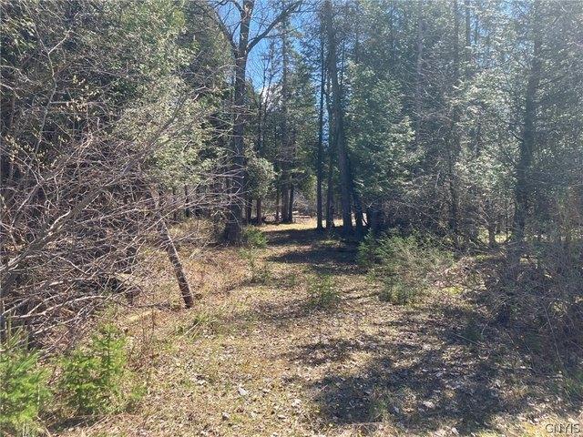 County Road 35, Potsdam, NY 13676