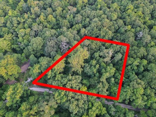 County Road 3612, Splendora, TX 77372