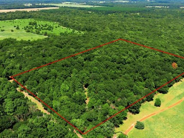 County Road 3613, Murchison, TX 75778