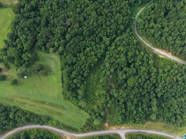 County Road 367, Crane Hill, AL 35053