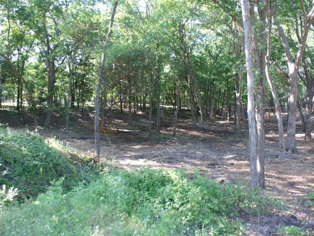 County Road 3713, Quinlan, TX 75474
