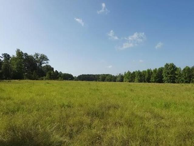 County Road 374S, Mount Enterprise, TX 75681