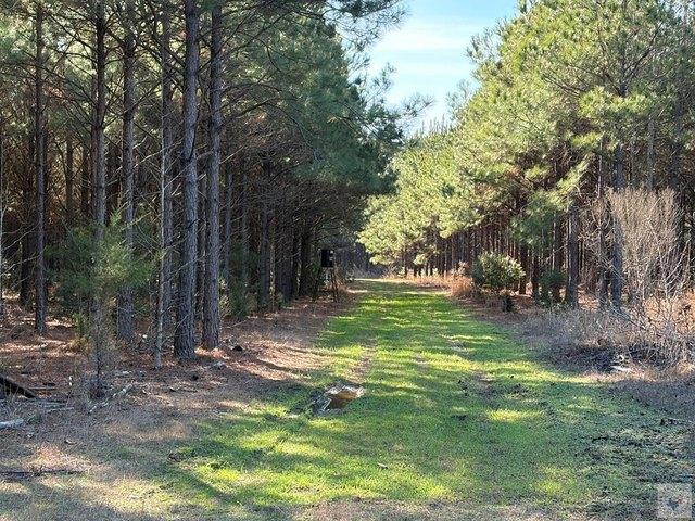 County Road 3774, Queen City, TX 75572
