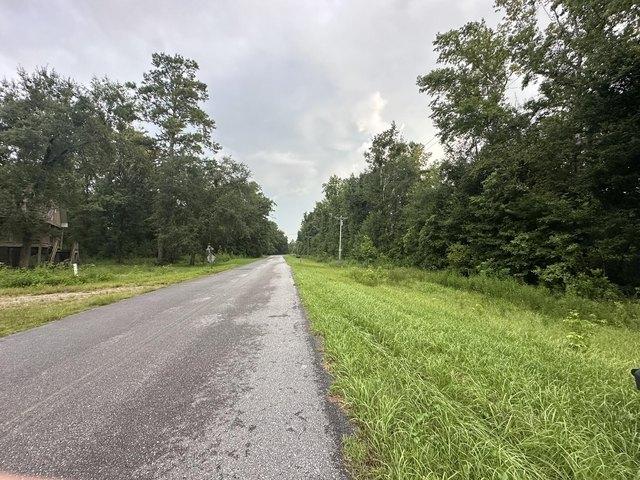 County Road 381, Wewahitchka, FL 32465