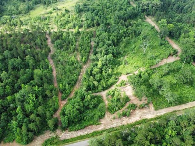 County Road 385, Tyler, TX 75708