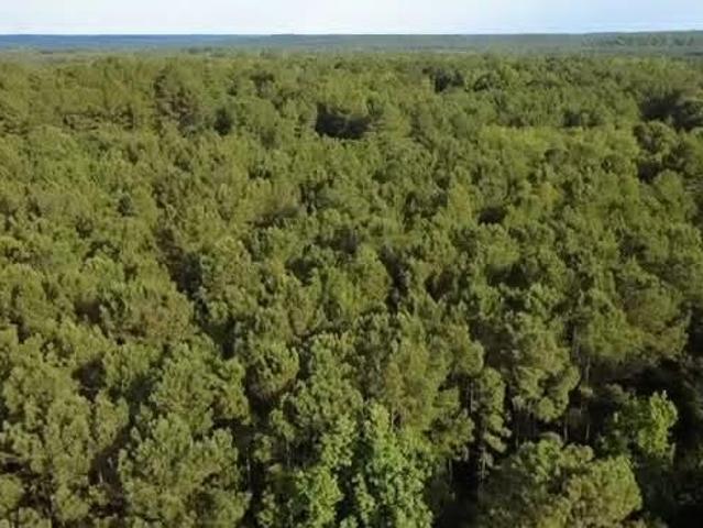 County Road 38, Ozark, AL 36360