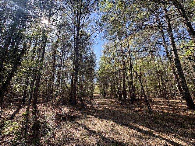 County Road 3930, Colmesneil, TX 75938