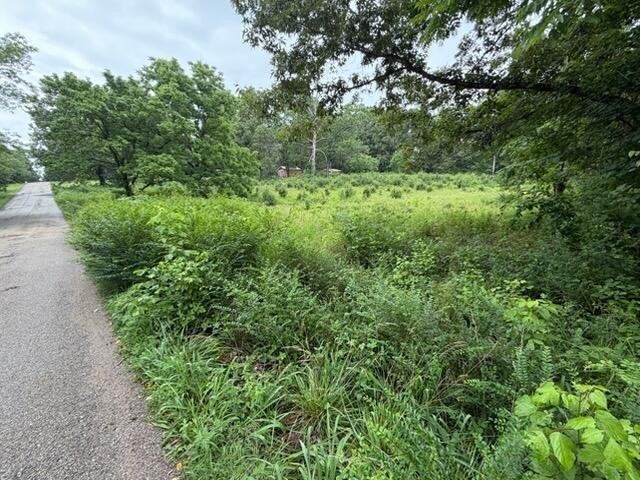 County Road 393 W, Thayer, MO 65791
