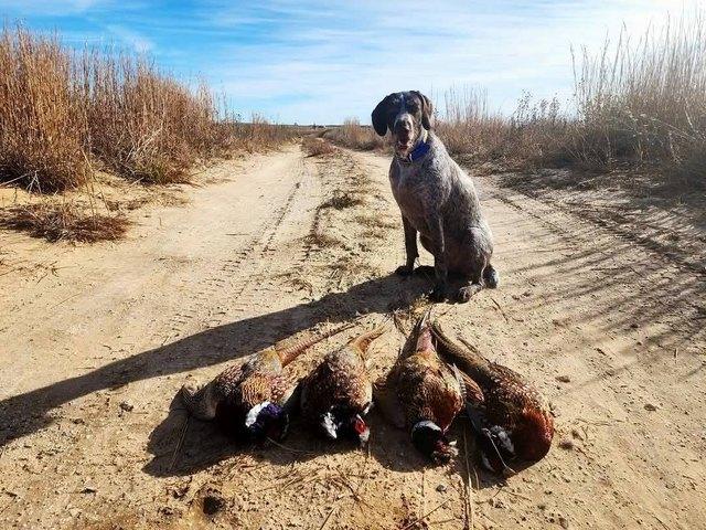 County Road 3, Hugoton, KS 67954