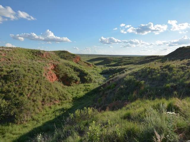 County Road 3, Shamrock, TX 79079