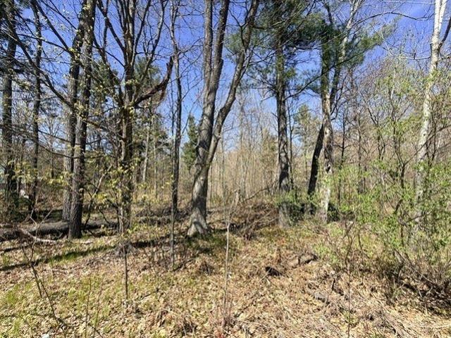 County Road B, Hayward, WI 54843