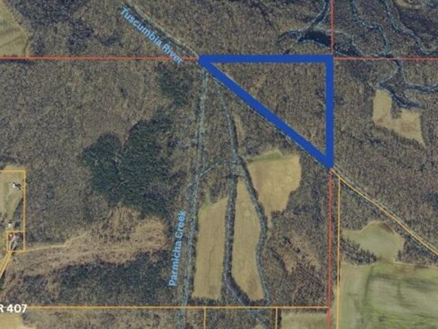 County Road,corinth, Plot For Sale