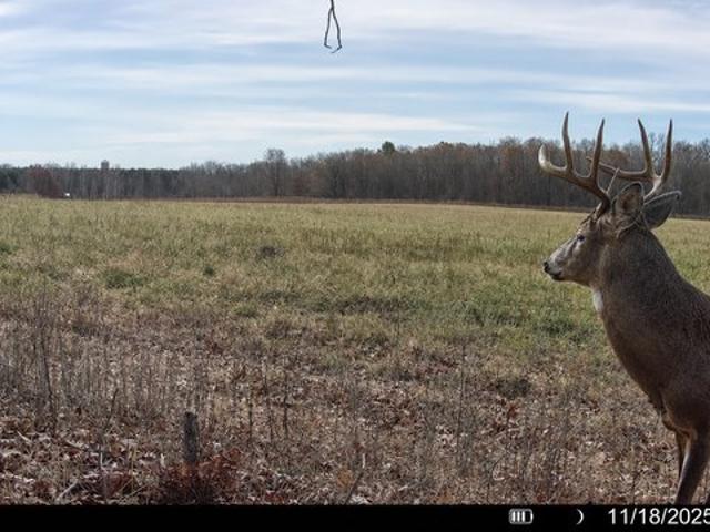 County Road D, Emerald, WI 54013